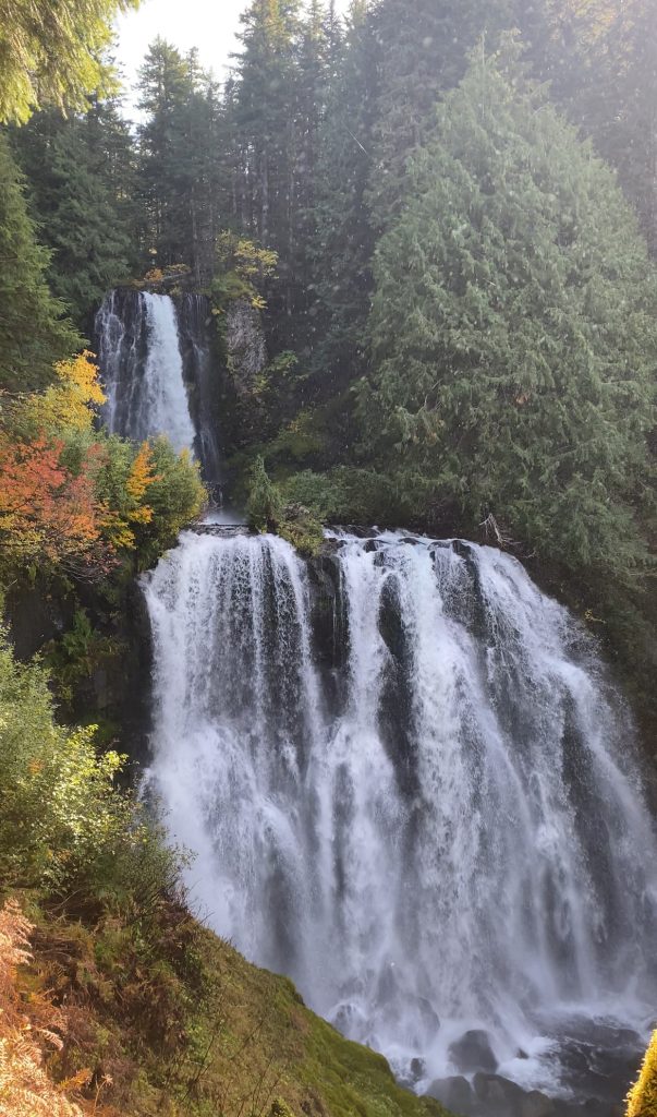 Home - Primal Path Therapy LLC